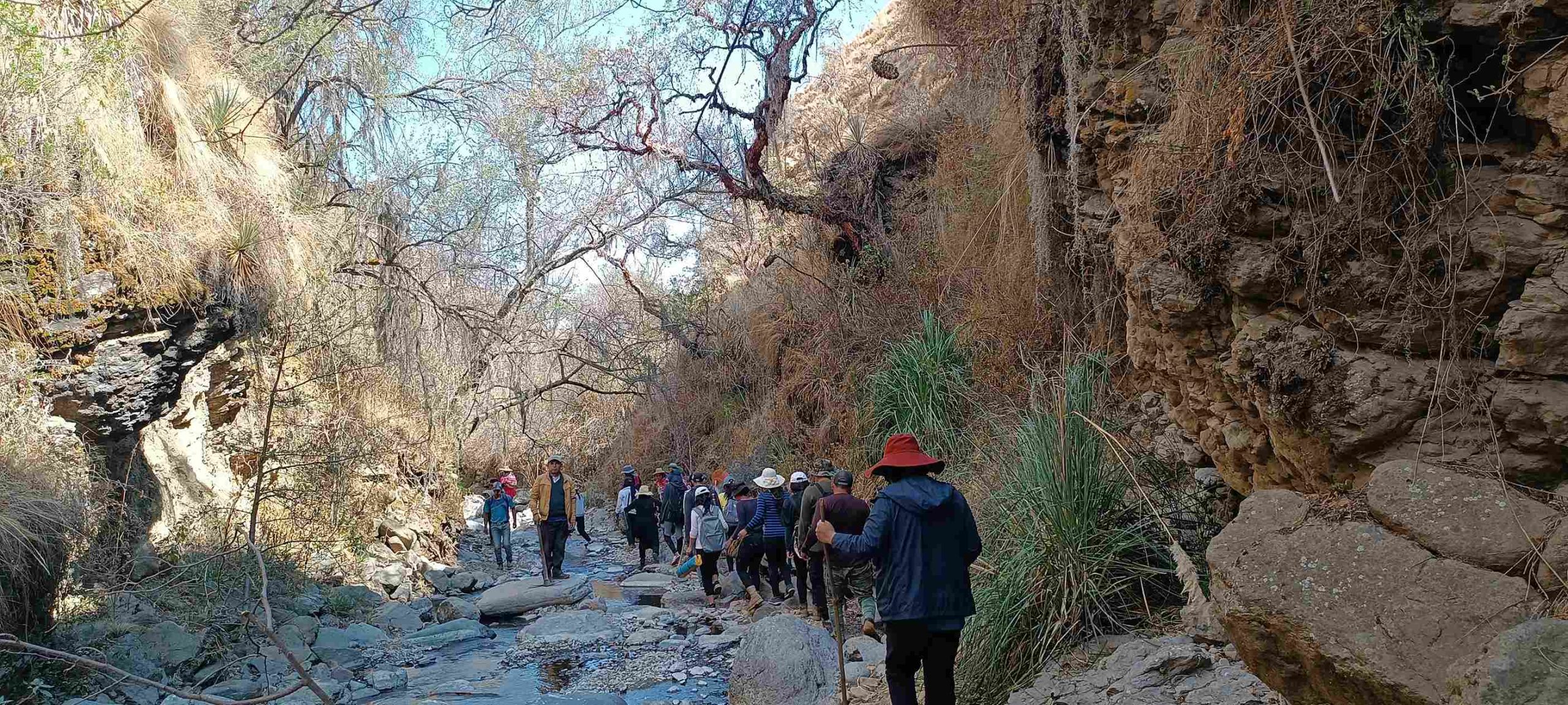 La Phia Community: Protector of the kewinas long-lived forests - Soy ...